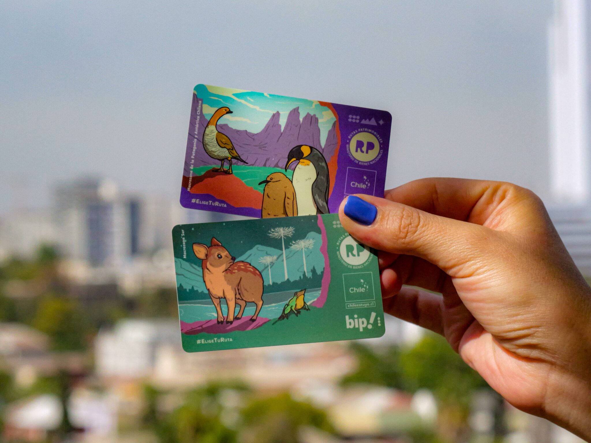 Se completa colección de tarjetas Bip inspiradas en rutas patrimoniales y macrozonas de Chile ...